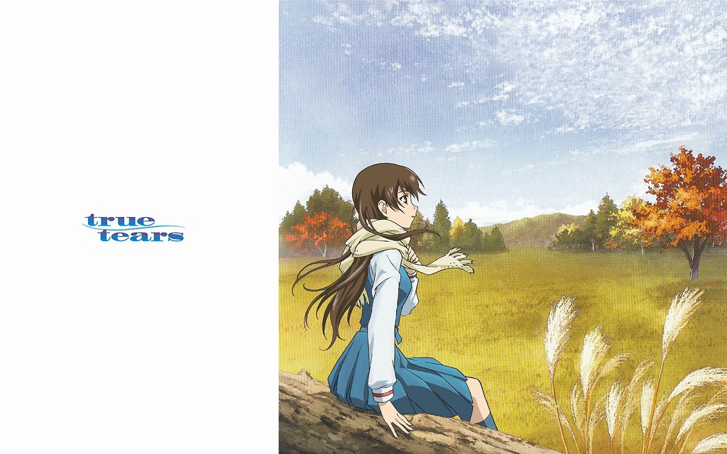 Voir tous les wallpapers